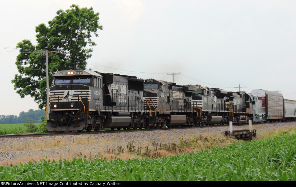 NS 6936 9159 2687 8835 JTCX 9615